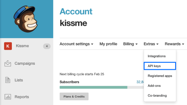 How to Show Your MailChimp Subscriber Count in WordPress | DesignDrizzle | Free Resources for ...