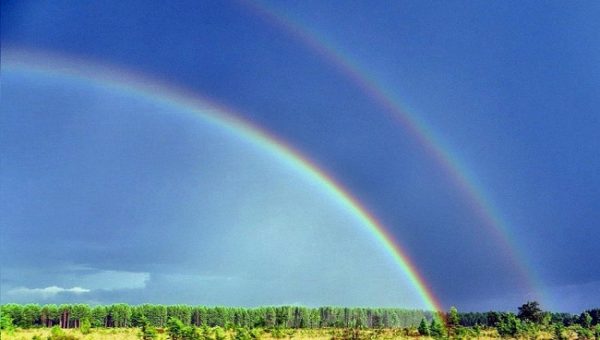 30+ Beautiful Examples of Rainbow Photography | DesignDrizzle | Free ...