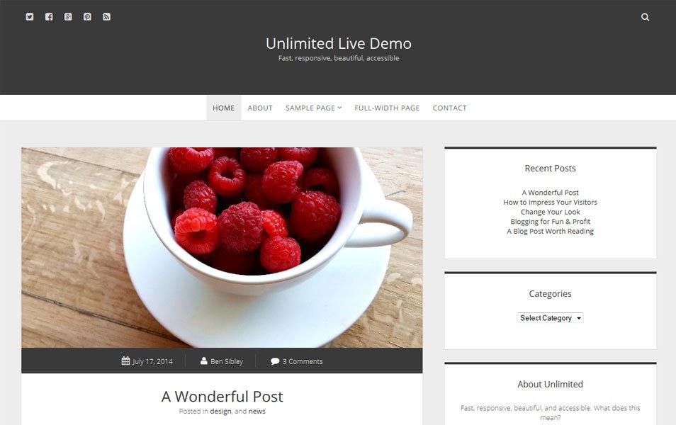 30+ Best Responsive Wordpress Themes For 2015 | DesignDrizzle | Free Resources for Web Designers ...