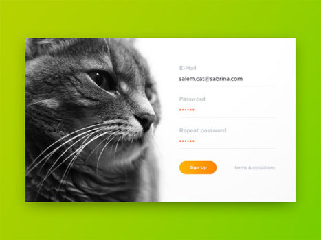 40 Stunning Sign Up Form Designs | DesignDrizzle | Free Resources for ...
