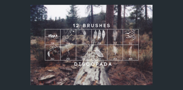 35+ Free High-Resolution Photoshop Brush Sets [2019] | DesignDrizzle ...