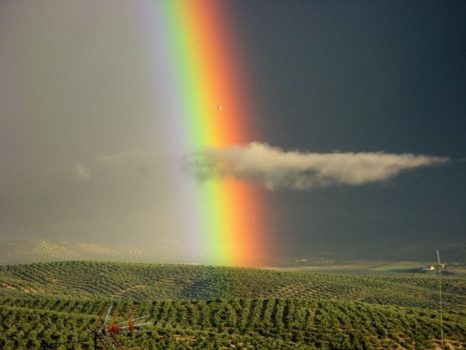 30+ Beautiful Examples of Rainbow Photography | DesignDrizzle | Free ...