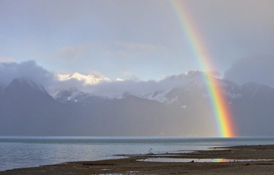 30+ Beautiful Examples of Rainbow Photography | DesignDrizzle | Free ...