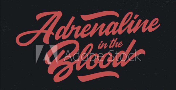 30+ Best Logo Fonts [2025] | DesignDrizzle | Free Resources for Web ...