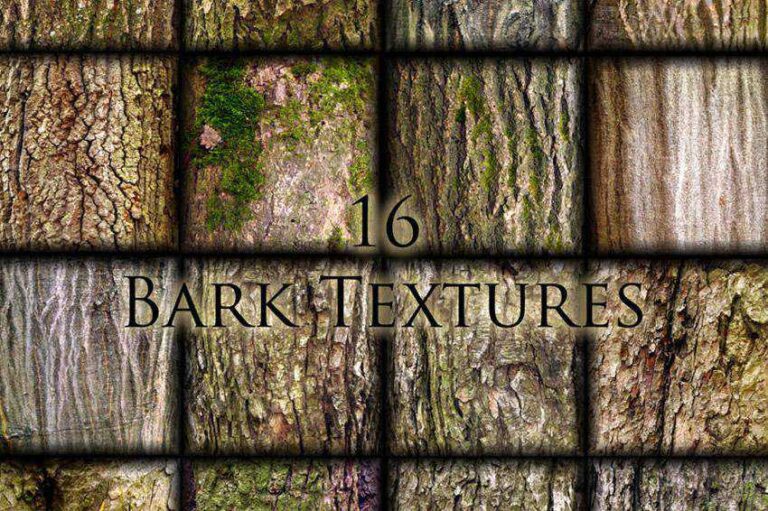 20+ Free Realistic Wood Textures for Designers | DesignDrizzle | Free ...