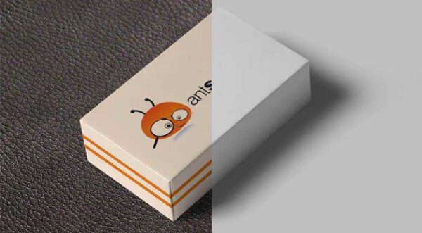 35 Best Packaging Mockup Templates for Designers in 2025 ...