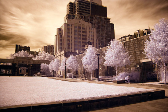 50+ Amazing Examples of Infrared Photography | DesignDrizzle | Free ...