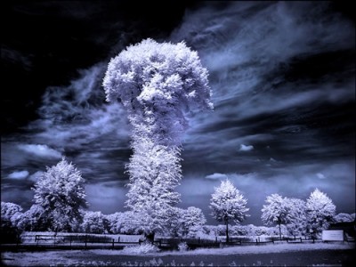 50+ Amazing Examples of Infrared Photography | DesignDrizzle | Free ...