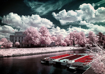 50+ Amazing Examples of Infrared Photography | DesignDrizzle | Free ...