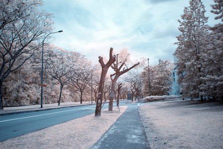 50+ Amazing Examples of Infrared Photography | DesignDrizzle | Free ...