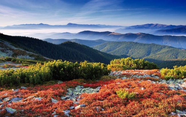 35 Incredible Examples of Nature Photography | DesignDrizzle | Free ...