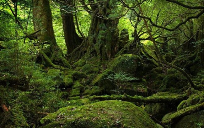 35 Incredible Examples of Nature Photography | DesignDrizzle | Free ...