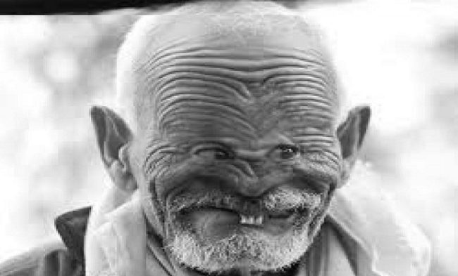 20 Funny Photos of People and Animals To Make You Laugh | DesignDrizzle ...