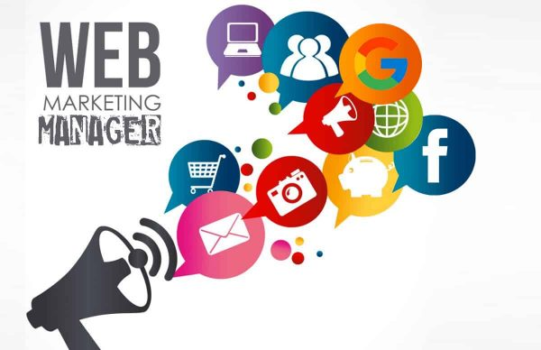 How to Become a Web Marketing Manager | DesignDrizzle | Free Resources ...