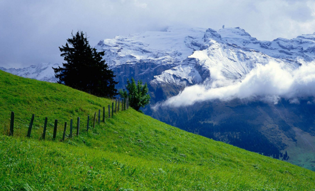 35 Incredible Examples of Nature Photography | DesignDrizzle | Free ...