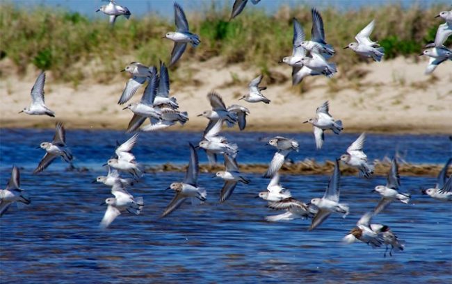 35 Incredible Examples of Nature Photography | DesignDrizzle | Free ...