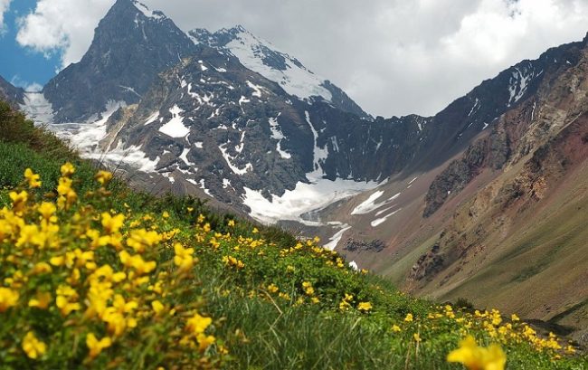 35 Incredible Examples of Nature Photography | DesignDrizzle | Free ...