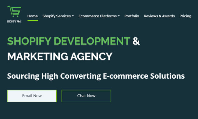 10+ Best Shopify Developers To Watch Out For in 2022
